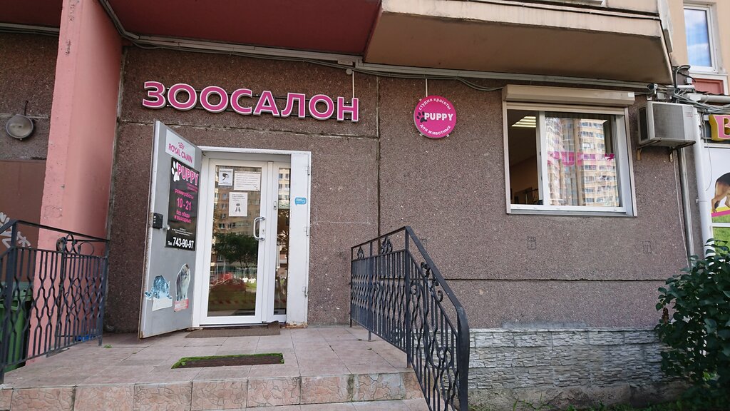 Evcil hayvan kuaförleri Puppy, Saint‑Petersburg, foto