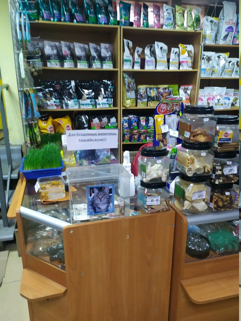 Petshop ЛапУшки, Tula, foto