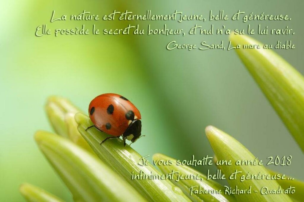 Alternatif tıp merkezleri Equilibre Naturel par Fabienne Richard, Liege, foto