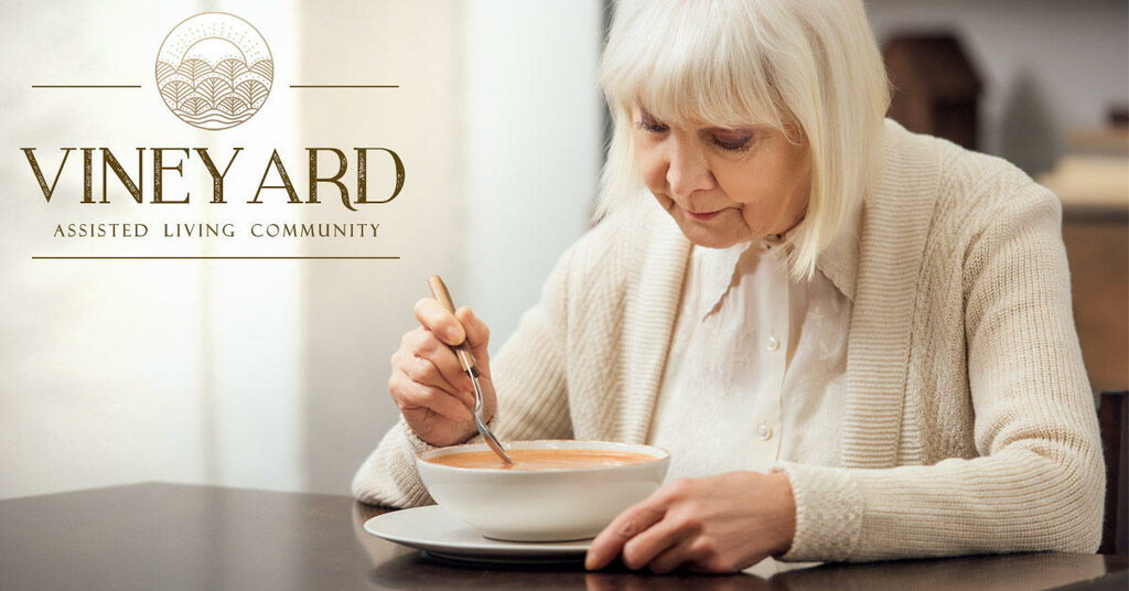 Huzurevi, bakımevi Vineyard Assisted Living Community, Michigan Eyaleti, foto