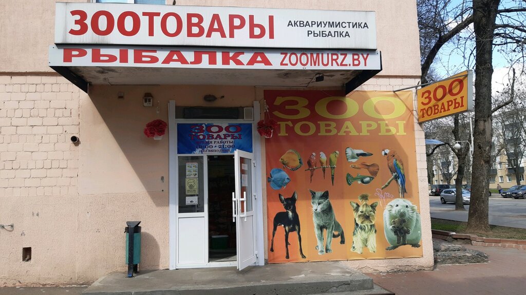 Petshop Мурзик, Minsk, foto