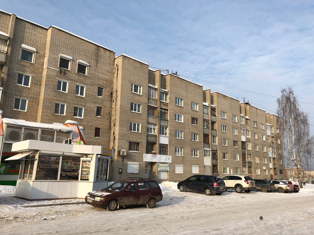 Çiçekçiler Живые цветы, Asbest, foto