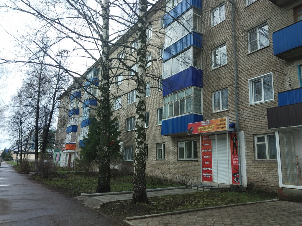 Enstrüman mağazaları Музыкальный магазин Господин музыкант, Belebey, foto