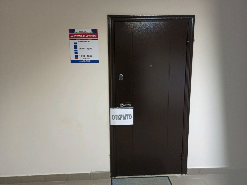 Çocuk oyunları ve oyuncakları Mir umnykh igrushek, Orenburg, foto