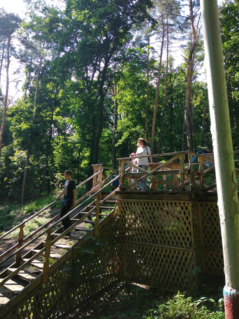Resort oteller, tesisler Тарбеево, Tambovskaya oblastı, foto
