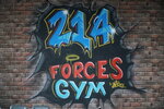 214 Forces Gym (Tahtakale Mah., Ayçiçeği Sok., No:8/10B, Avcılar, İstanbul), spor ve jimnastik salonları  İstanbul'dan