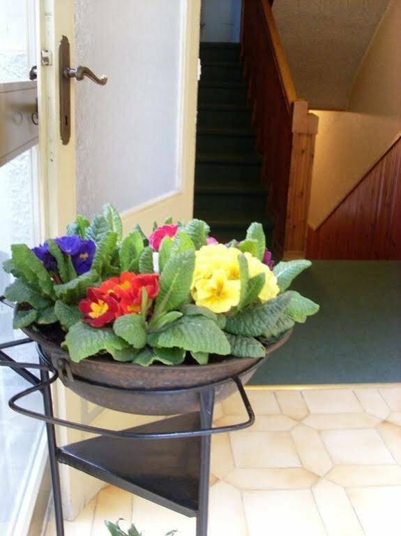 Otel Albergo Corona, , foto