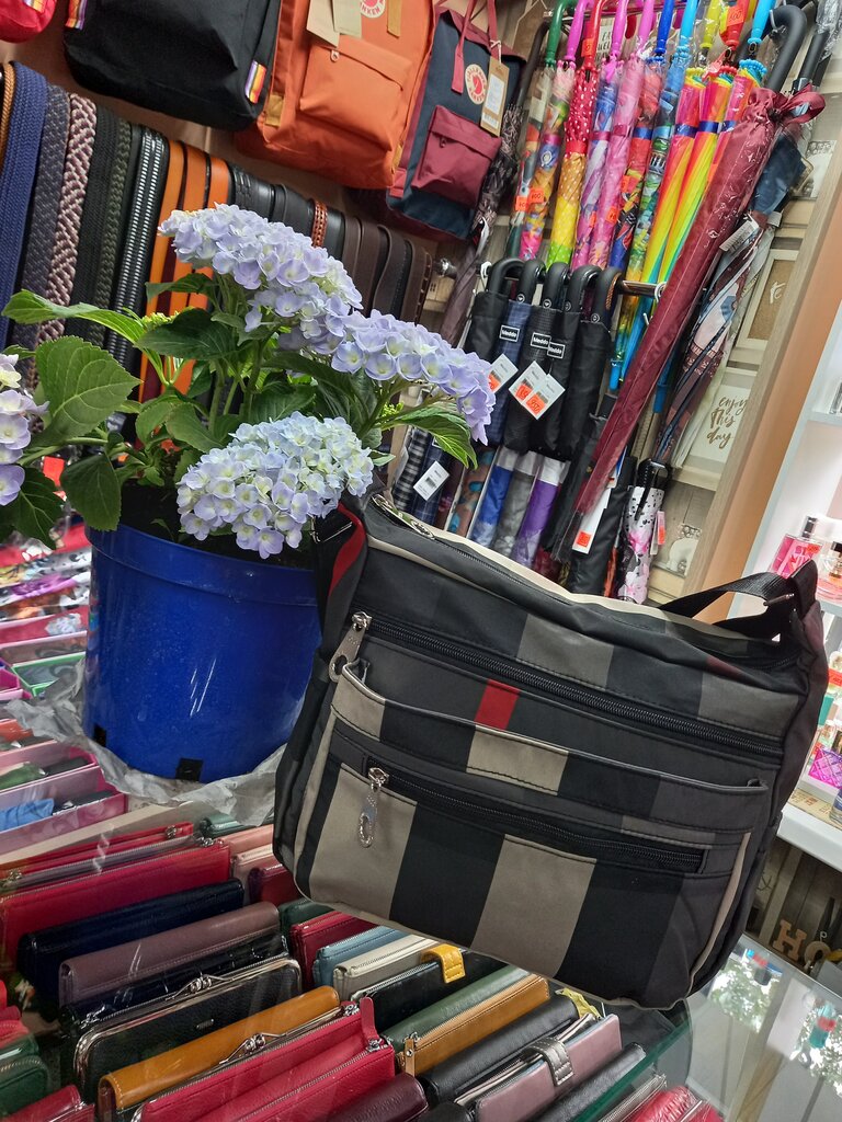 Çanta ve valiz mağazaları Сумки, Velikiy Novgorod, foto