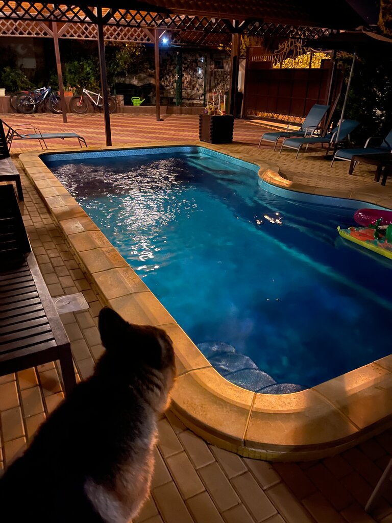 Otel Alex House, Krasnodarski krayı, foto