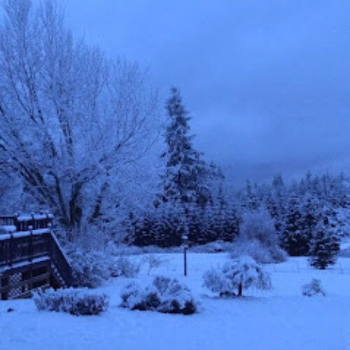 Bahçe ekipmanları ve teknolojileri Mountain View Landscapes, Oregon Eyaleti, foto