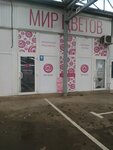 Цветочный рай (ulitsa Generala Trosheva No:1/12), hediyelik eşya mağazaları  Krasnodar'dan