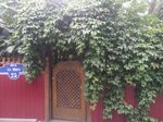 Гостевой дом на улице Мира (Mira Street No:25, selo Kabardinka), konaklama işletmeleri  Krasnodarski krayından
