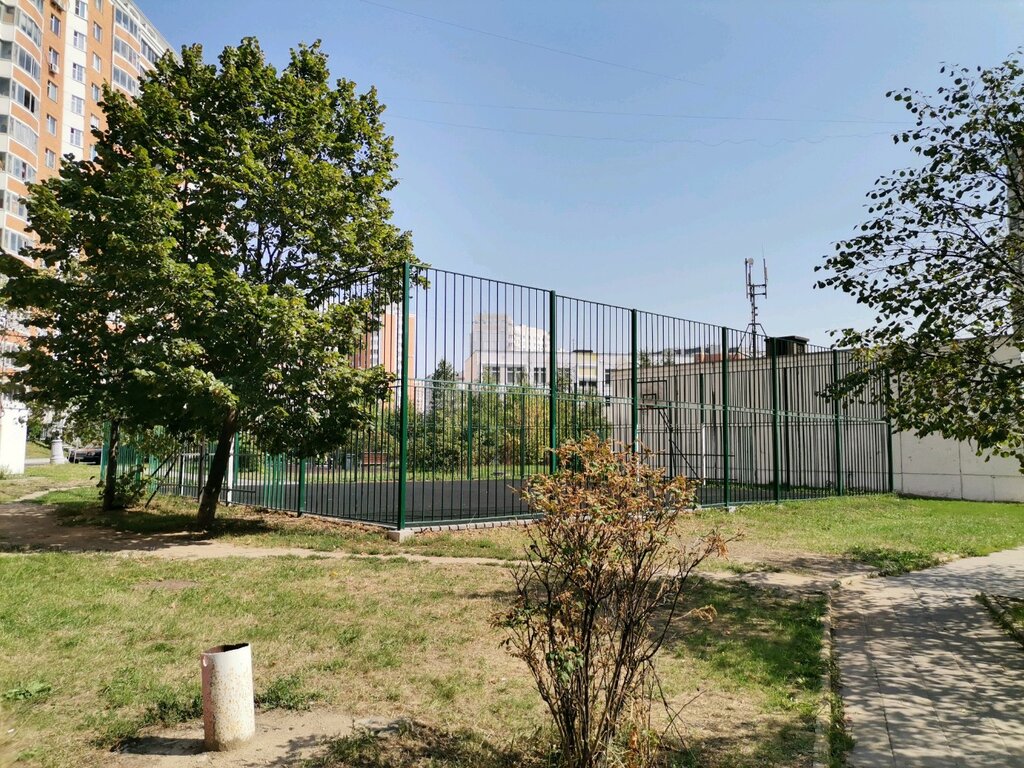 Spor alanı Спортивная площадка, Moskova, foto