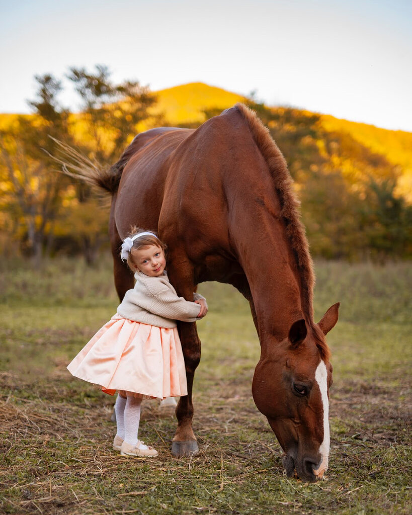 At ve binicilik kulüpleri Конный двор, Primoriye, foto