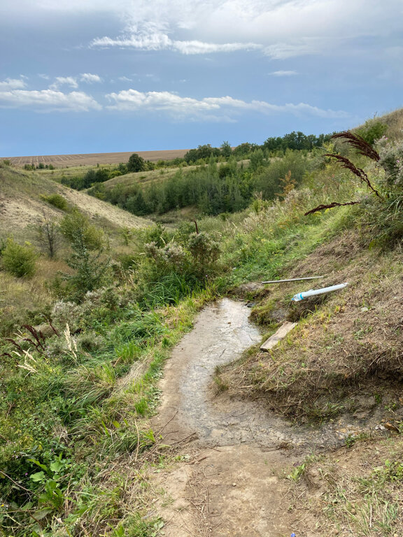 Pınar, çay Андреяновский родник, Volgogradskaya oblastı, foto