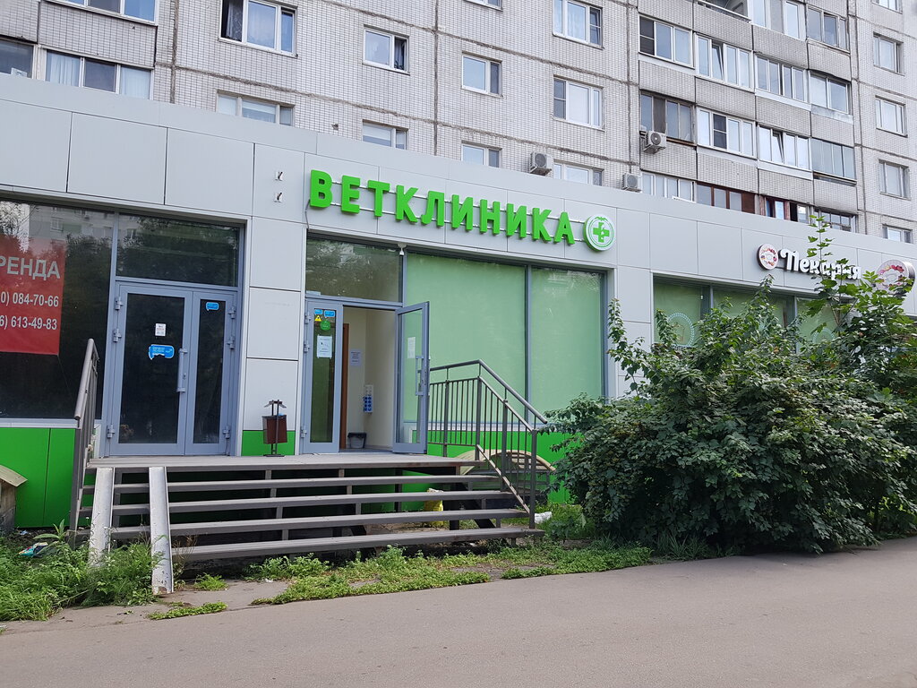 Hayvanlar için cenaze hizmetleri Bio-Vet, Moskova, foto