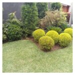 N&l Gardening - Landscaping and Technified Irrigation (Distrital La Molina, AAHH Las Viñas de La Molina), bahçe ekipmanları ve teknolojileri  Lima'dan