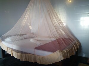 Paradise Guest House (Goa, North Goa County, Bardez Subdistrict, Town of Anjuna), otel  Goa'dan