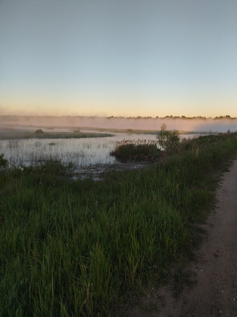 Balık çiftçiliği ve toptancıları Rybkhoz Shirokovo, İvanovskaya oblastı, foto