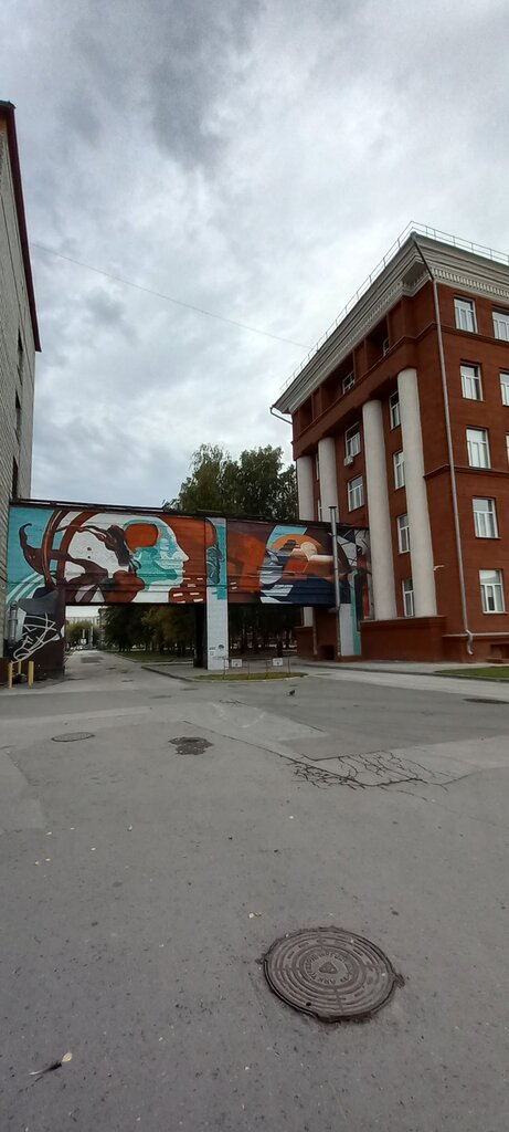 Sokak sanatı Граффити Биопротезирование, Novosibirsk, foto