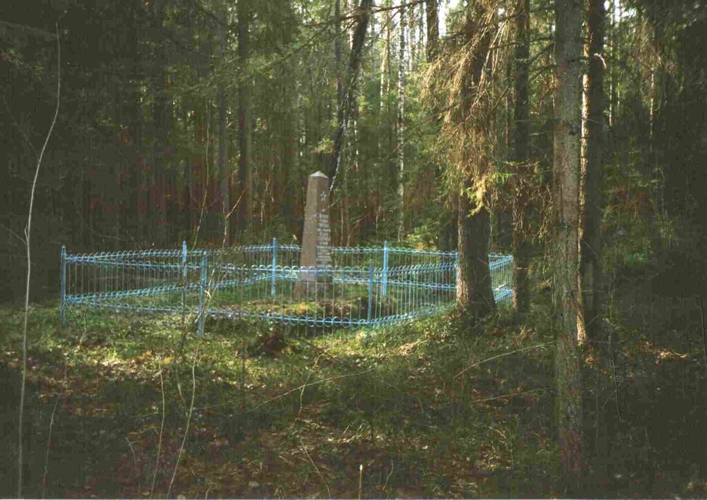 Anıt, heykel Братская могила советских воинов 1941 г., Novgorodskaya oblastı, foto