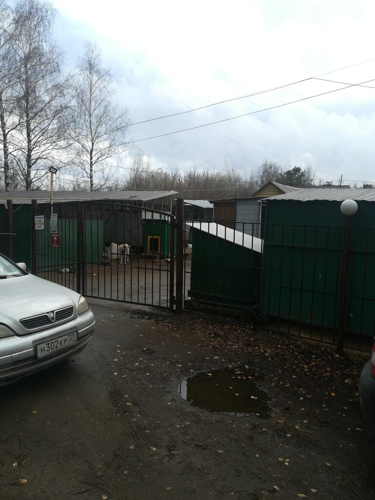 Hayvan barınakları, kulüpleri ve otelleri Приют для животных Майский день, İvanovo, foto