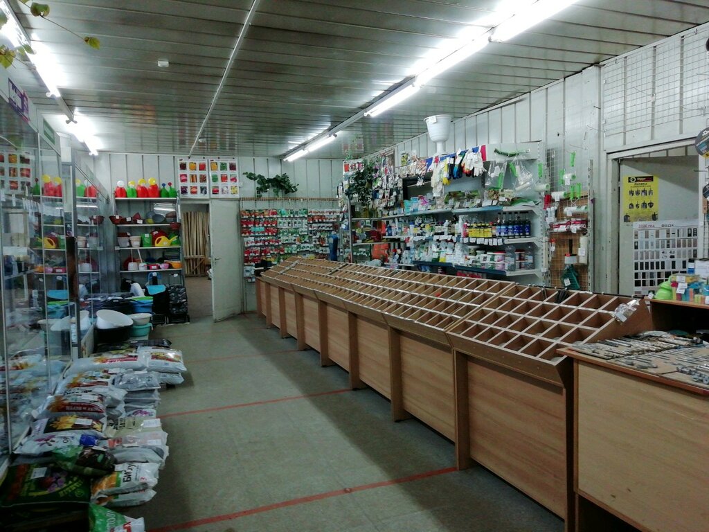 Tohum satan yerler Семена, İvanovo, foto