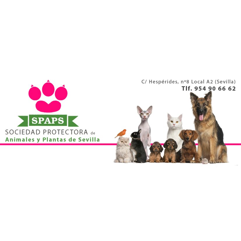 Sivil toplum kuruluşları Sociedad Protectora De Animales Y Plantas De Sevilla, Sevilla, foto