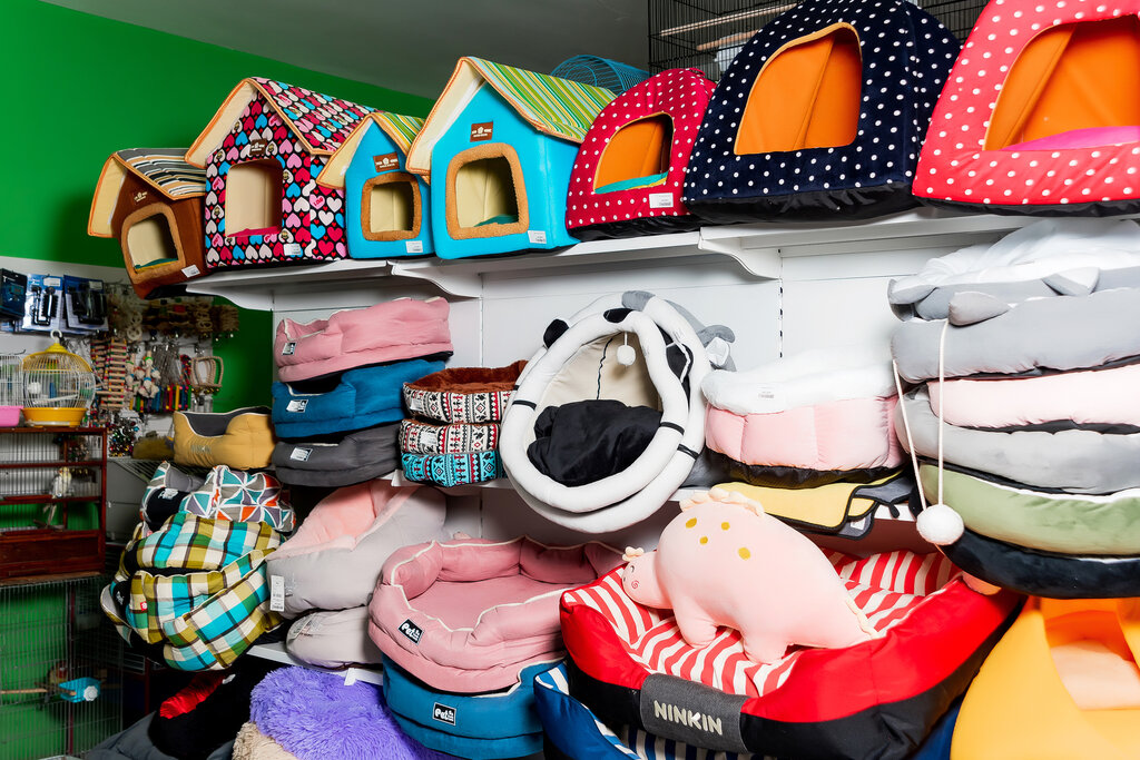 Petshop Crazy cat, Çimkent (Şımkent), foto