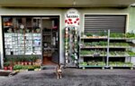 Trucano Carla (Piedmont, Provincia di Torino, Via Salassa, 1), tarım makineleri, ekipmanlar  Piyemonte'den