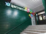 Цветы (Pyatiletok Avenue No:8к1), çiçekçiler  Saint‑Petersburg'dan