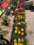 Vivaio Agricola Fa. Mi. Or (Via di Casal del Marmo No:399), tarım makineleri, ekipmanlar  Roma'dan