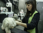 Hospital Veterinari de Lleida SL (Calle Joc de la Bola No:16, Lérida), veteriner klinikleri  Lleida'dan