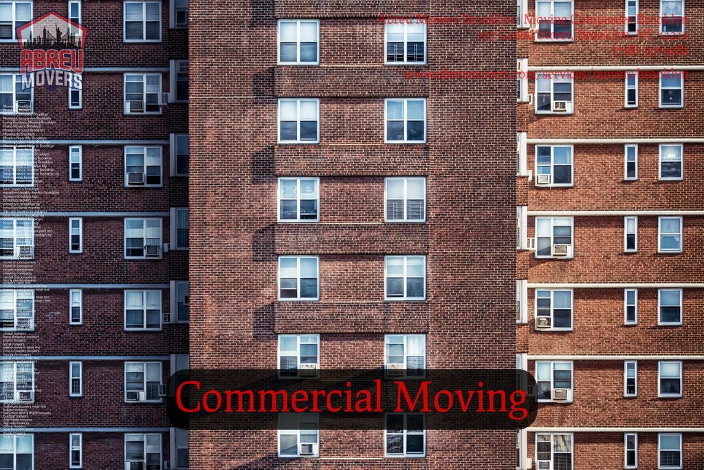 Evden eve nakliye Abreu Movers Brooklyn - Moving Companies Brooklyn, New York, foto