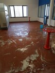 Scintilla Tomassetti Sheila (Via del Mandorlo No:10, Terni), haşere ilaçlama firmaları  Terni'den