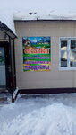 Сказка (Slepnyova Street No:1Д), market  Aldan'dan