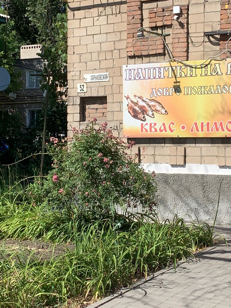 Bira dükkanı Напитки на розлив, Novoşahtinsk, foto