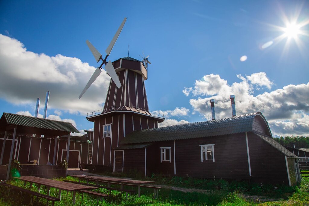 Fidan yetiştiriciliği Ecofarm Insight, Tulskaya oblastı, foto