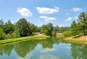 Cherokee Landing Campground (United States, Saulsbury, 1385 Old State Line Road,), kültür ve eğlence parkları  Tennessee Eyaleti'nden
