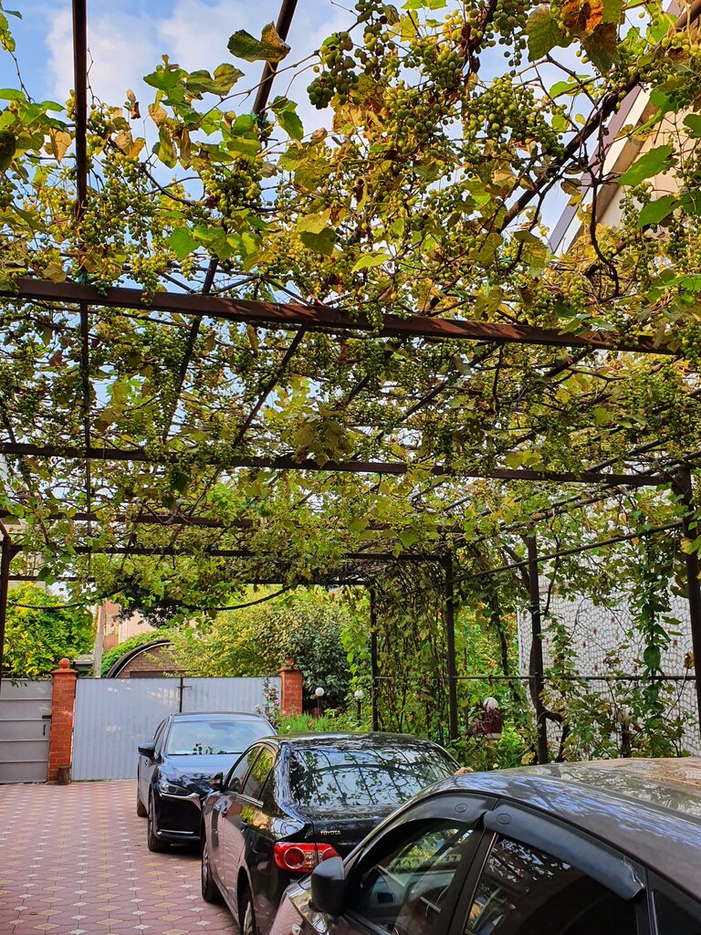 Konuk evi Gostevoi dom Aist s. Arkhipo-Osipovka, Krasnodarski krayı, foto