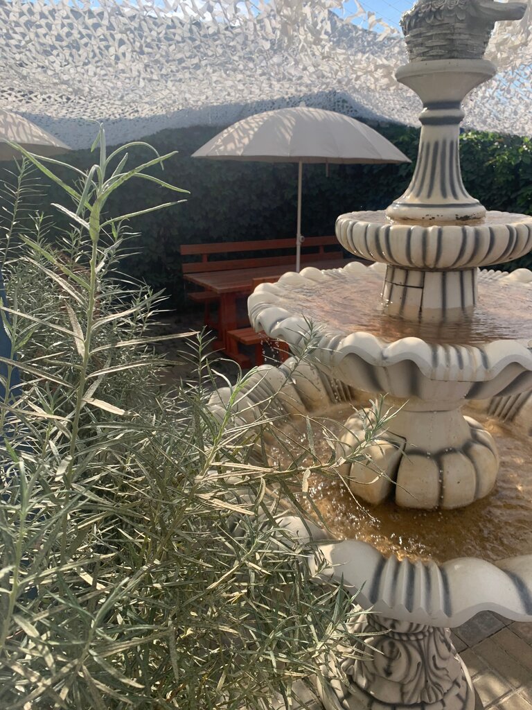 Düğün, toplantı salonu Zebra, Krasnodarski krayı, foto