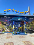 Tunnel Oceanarium (30 years of Victory Park, No:2), akvaryumlar  Anapa'dan