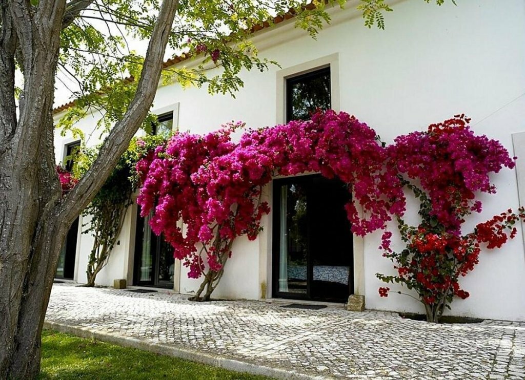 Otel Quinta do Miguel, Setubal, foto