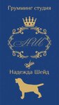 Груминг студия Надежды Шейд (vulica Kirava No:50), evcil hayvan kuaförleri  Brest'ten