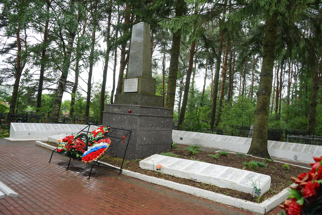 Anıt, heykel Братская могила, Saint‑Petersburg ve Leningradskaya oblastı, foto