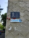 Мемориальная памятная доска Дьяченко Андрею Фёдоровичу, участнику Великой Отечественной войны (ulitsa Gagarina No:6), anıt levhası, anıt taş  Raychihinsk'ten