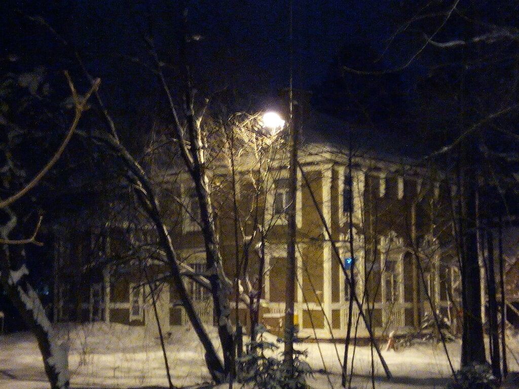 Turistik yerler Дача Н.А. Колоколова, Saint‑Petersburg, foto