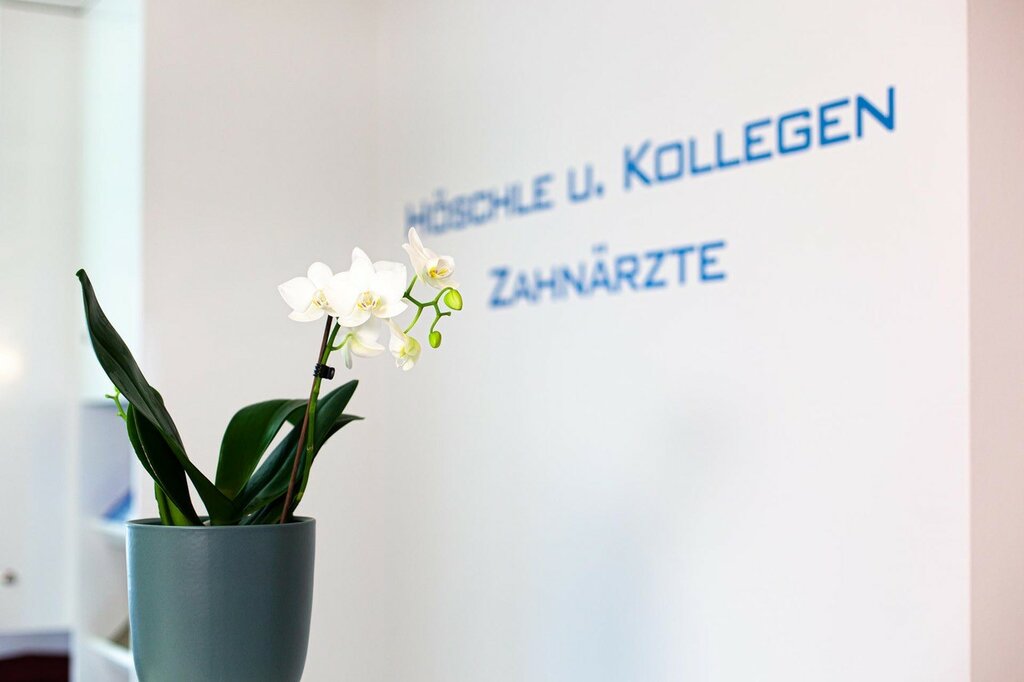Özel ağız ve diş sağlığı klinikleri ve muayenehaneleri Zahnheilkunde Dr. med. dent. Jörg Höschle, Boblingen, foto