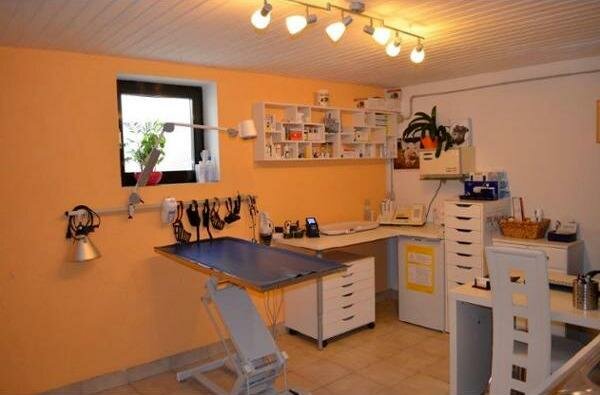 Veteriner klinikleri Mag. med. vet. Katrin Laubichler, Steiermark, foto