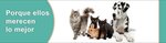 Las Mascotas de Fede (Buenos Aires, Vera), veteriner klinikleri  Buenos Aires'ten